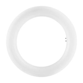 OSRAM LED CIRCULAR TUBE ST9-22 12W/865-220-240V EM G10Q | Gain City ...