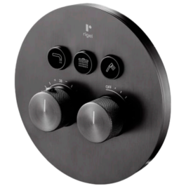 RIGEL CONCEALED SHOWER MIXER R-TSMC7567-GUN | Gain City Singapore